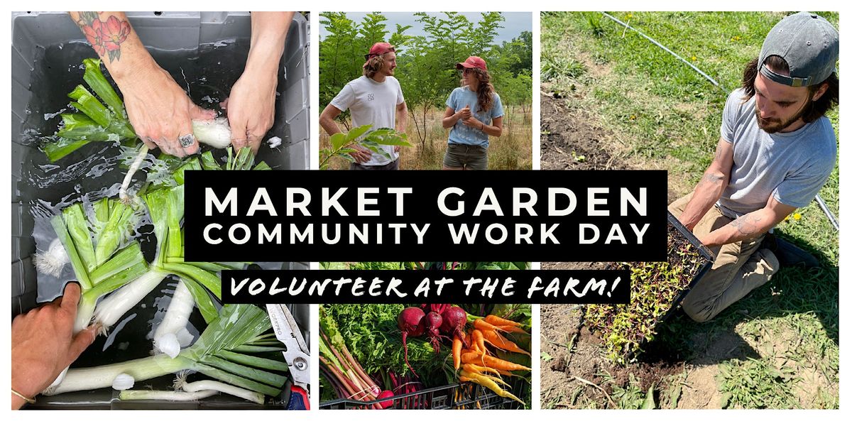 Market Garden Community Work Days, All One One All Farm, Goshen, 1 ...
