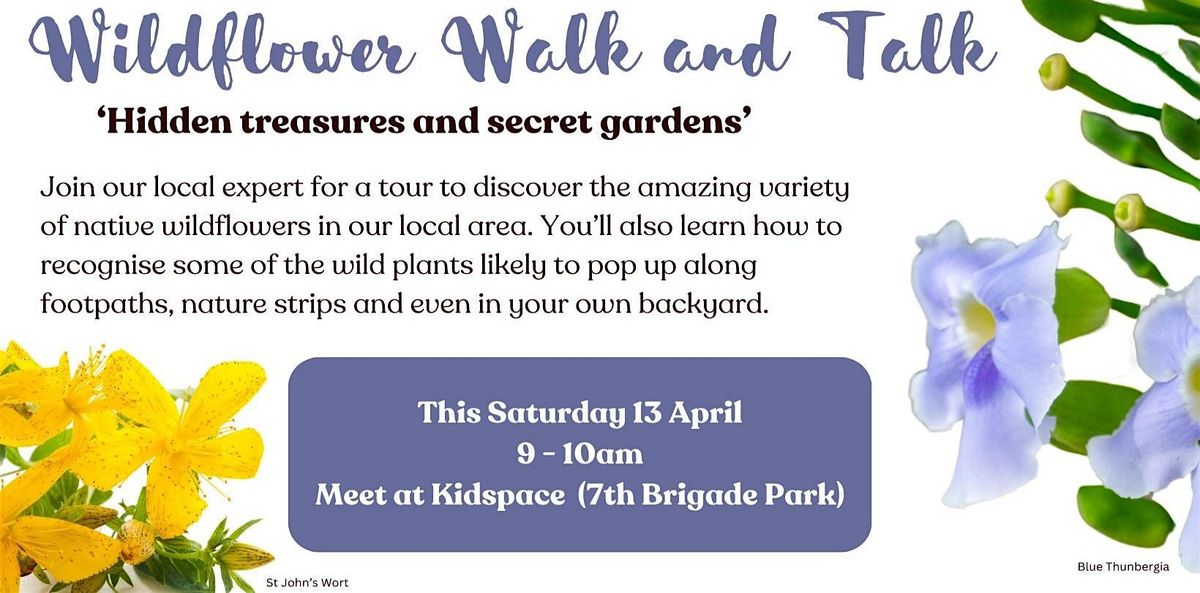 Wildlflower Walk & Talk, Kidspace, Chermside, 13 April 2024 | AllEvents