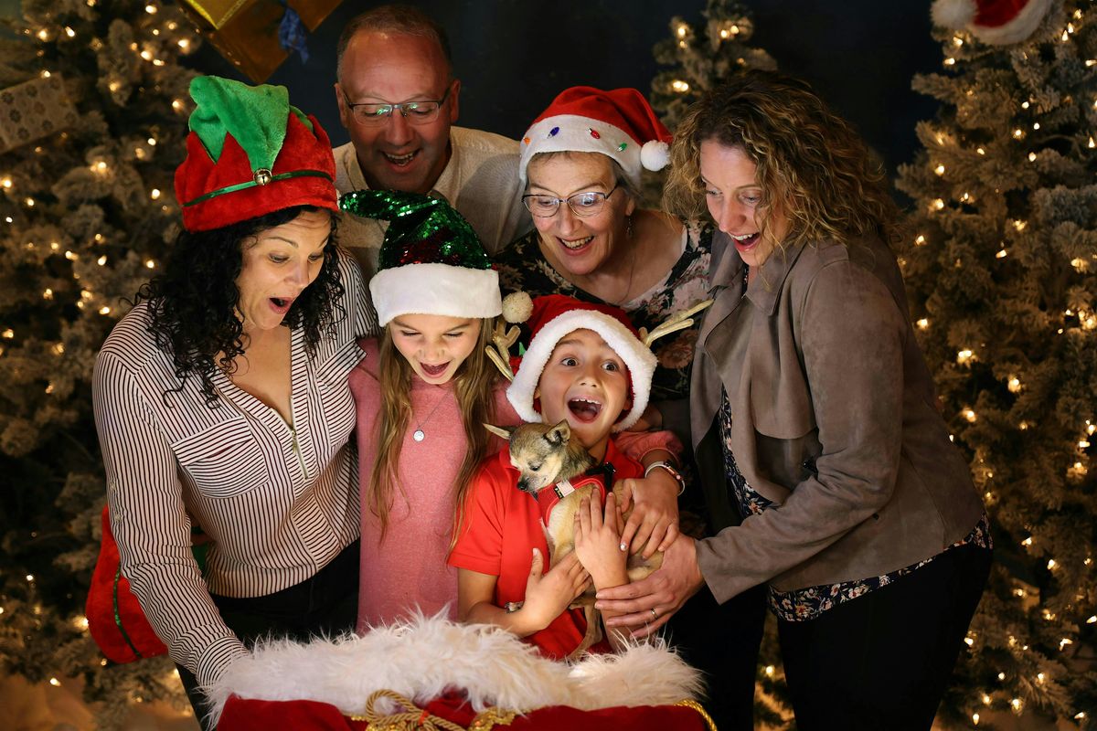 Sustainable Santa Workshop & Family Portraits, Atrium 916 - Art ...