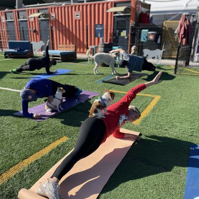 Wellness Warehouse at Bar K!, Bar K, Kansas City, 12 May to 10 November ...