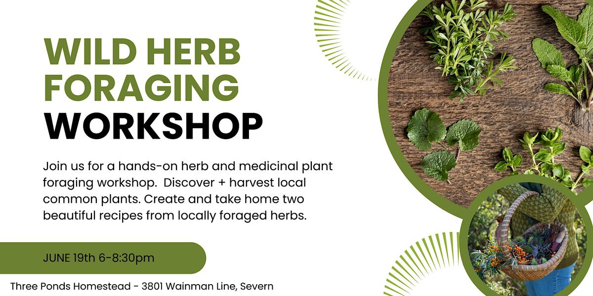 Wild Herb Foraging Workshop, 3801 Wainman Line, Orillia, 19 June 2023 | AllEvents.in
