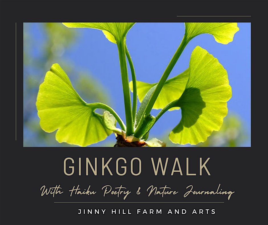 Ginkgo Walk with Haiku Poetry & Nature Journaling, Jinny Hill Farm ...