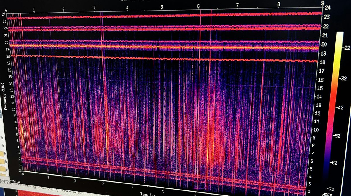 Deep listening with sferics: an interactive workshop with Alex De ...