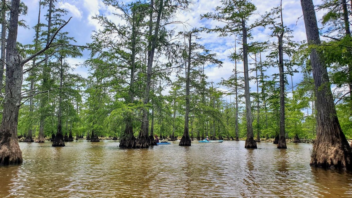 The Famous Ghost River AND The Loveable Lost Swamp, Ghost River Canoe ...