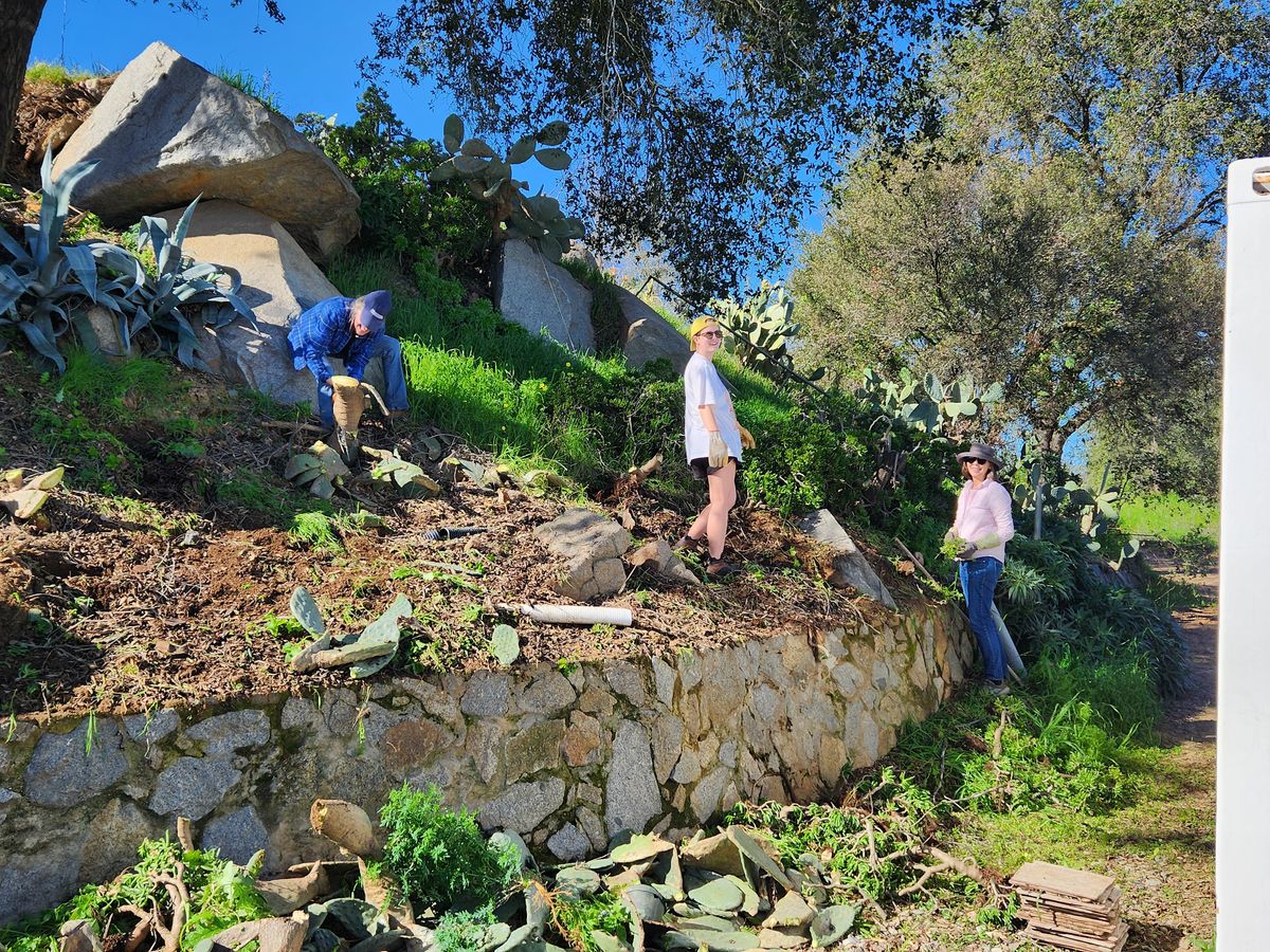 Shrub Club Volunteer, 27317 Mountain Meadow Rd, Escondido, 9 December ...