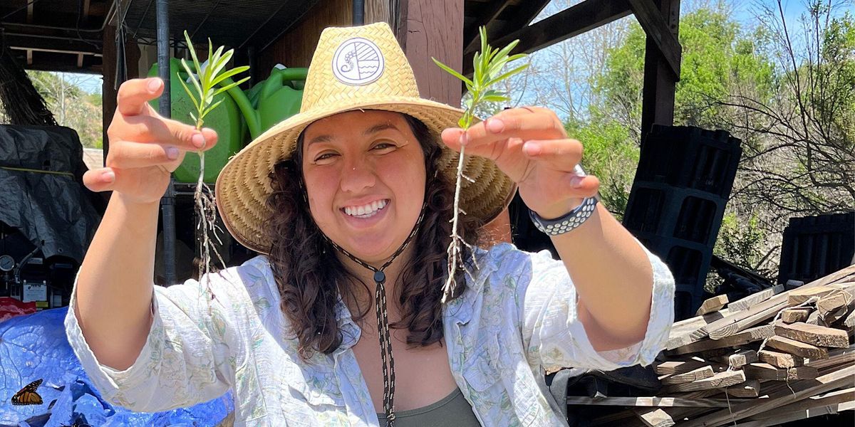 Native Milkweed Mania - Seed Sowing Party and Potluck!!!, Car Park for ...