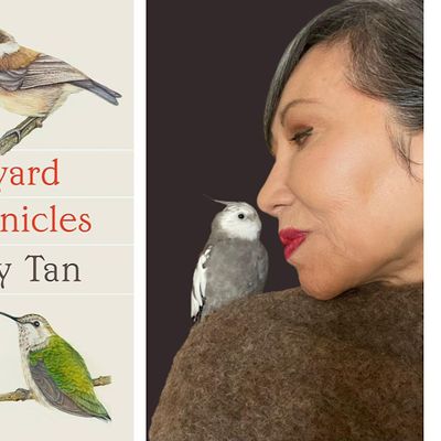AMY TAN: The Backyard Bird Chronicles, Little City Books, Hoboken, 5 ...