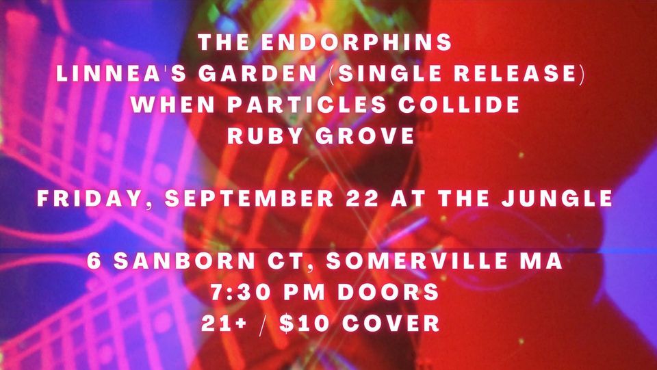 Linneas Garden "Comeback" Single Release Party w/When Particles Collide ...