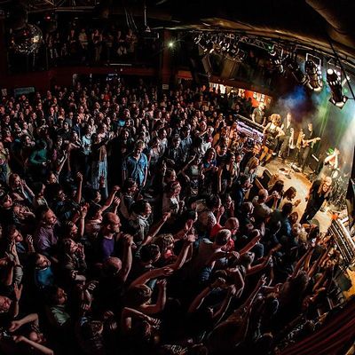 Alluvium Cellars Music, 19151 144th Ave NE, Woodinville, 1 August 2024 ...