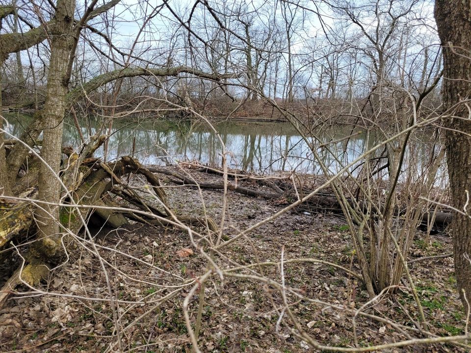 FACT Tree Planting - Westerville Alum Creek Park North, Alum Creek Park ...