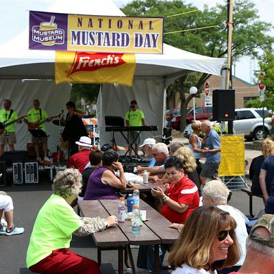 National Mustard Day, National Mustard Museum, Middleton, 3 August 2024 ...