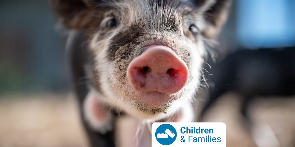 Farm Animal Fun!, Brimbank Libraries: Keilor Library, 9 January 2024 ...