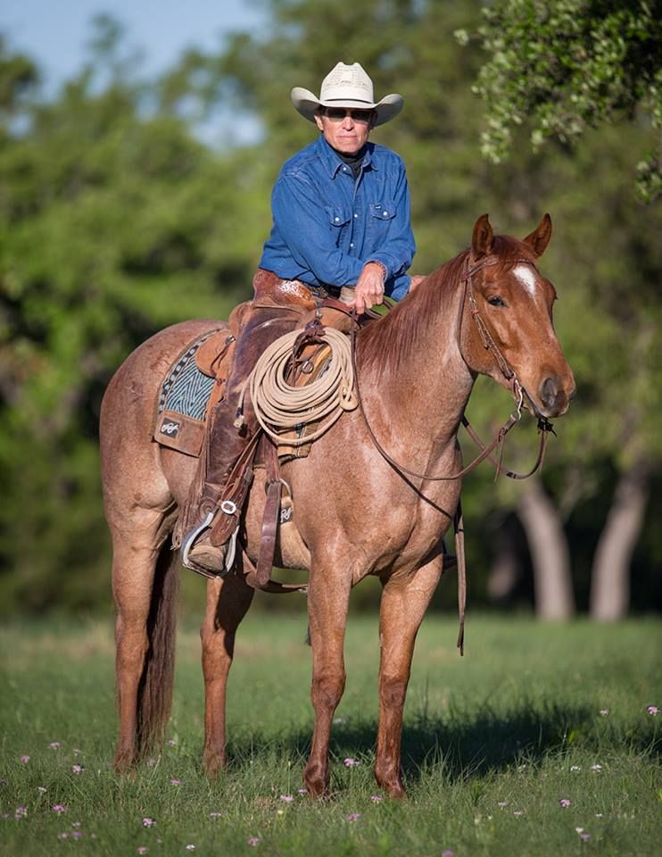 Craig Cameron Horsemanship w/Cows, Cottonwood Creek Equestrian Center ...
