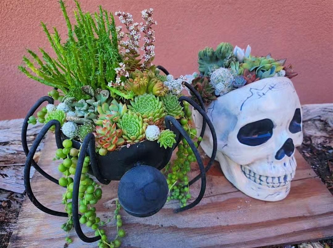 Halloween Planter Workshop At Burning Beard, Burning Beard Brewing Co ...