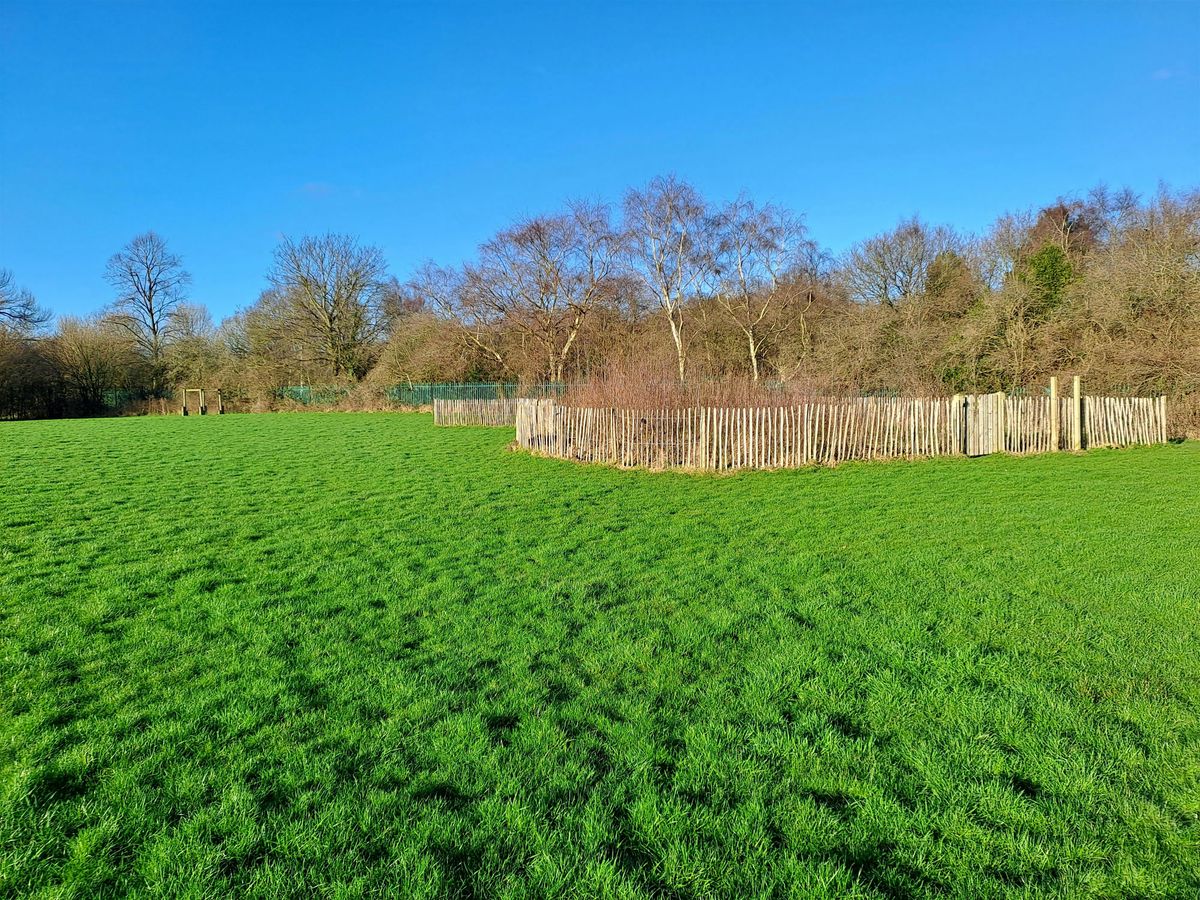 Bloxwich Community Orchard Tiny Forest Data Monitoring, Bloxwich ...