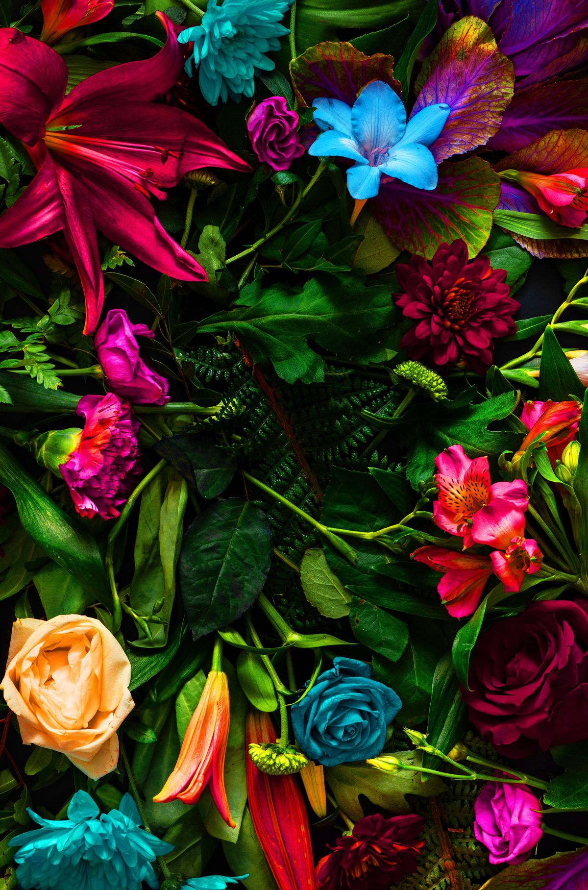 D.B. Maroon in conversation with Shawn Welcome, Zeppelin Books, Orlando ...