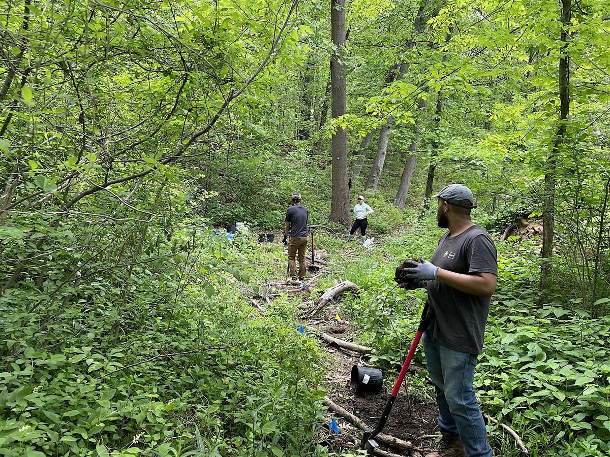Seton Falls Park Super Steward: Trail Maintainer Training, Stars ...