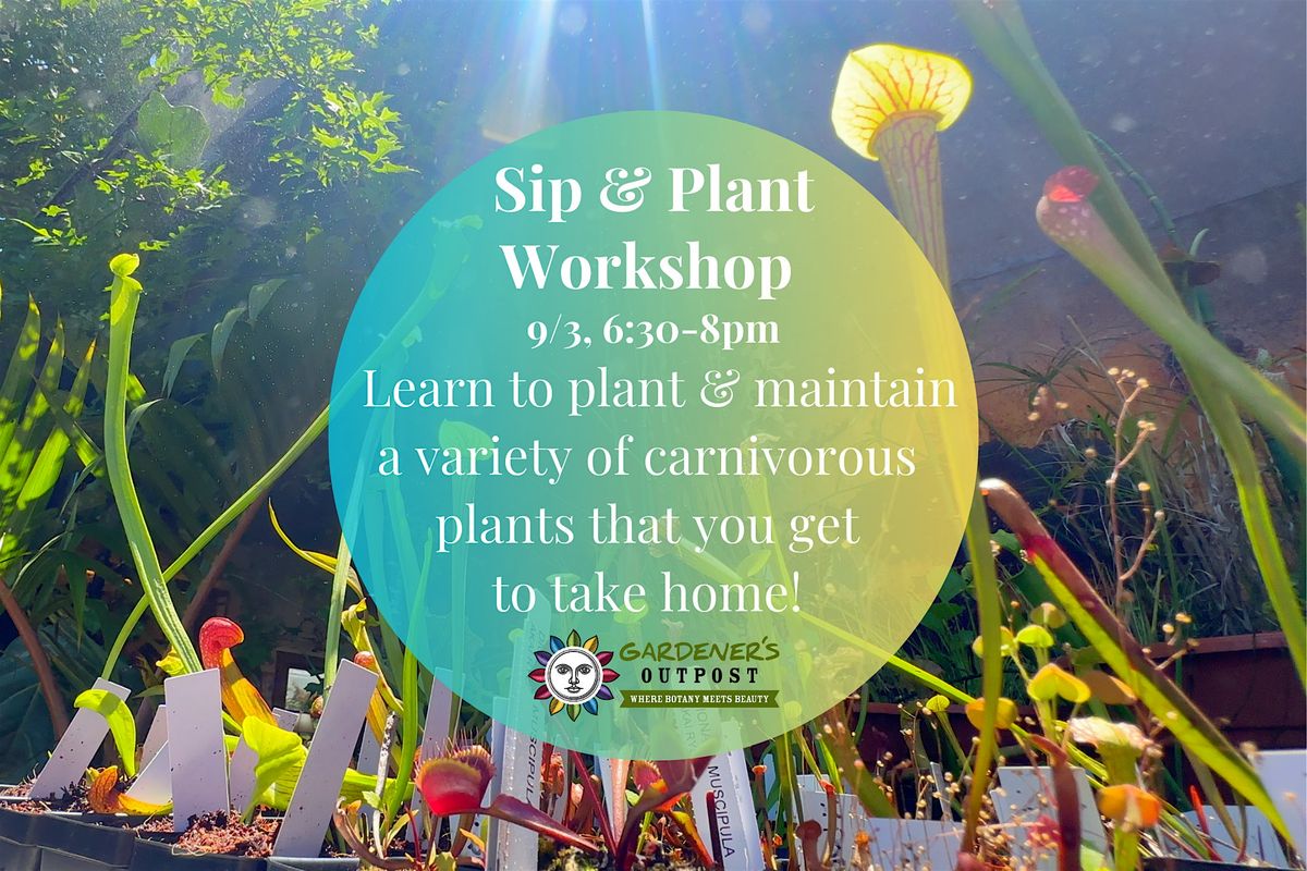 Sip & Plant Workshop: Carnivorous Plants!, Gardener's Outpost ...
