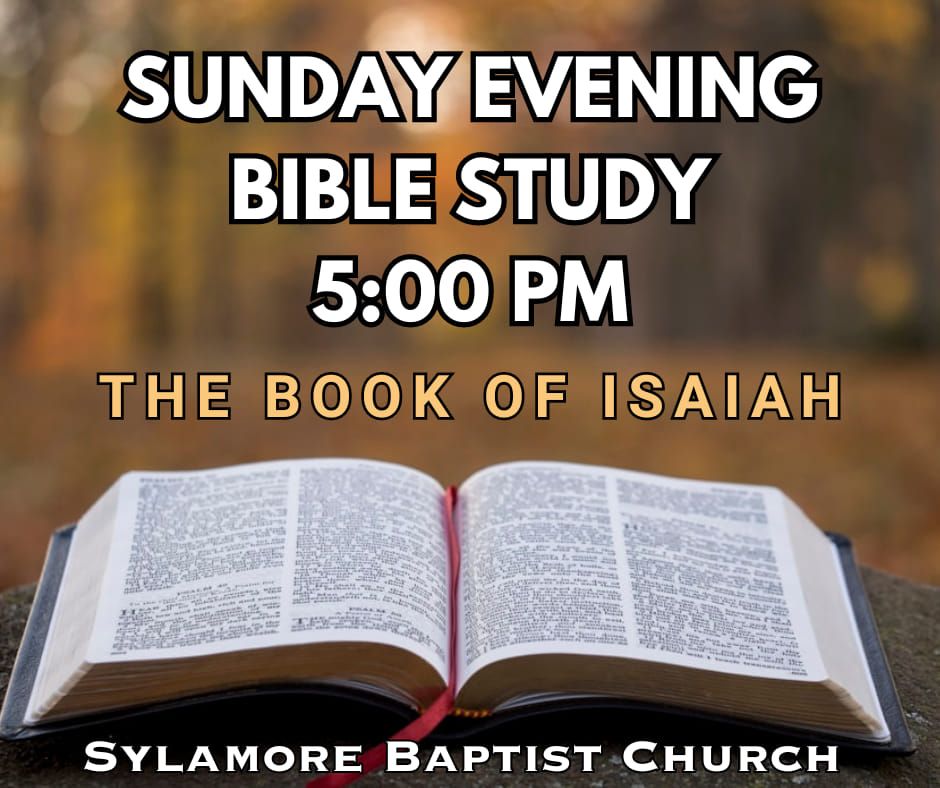 SUNDAY EVENING BIBLE STUDY, 93 CR 933, Mountain View, AR, Fifty Six, 10 ...
