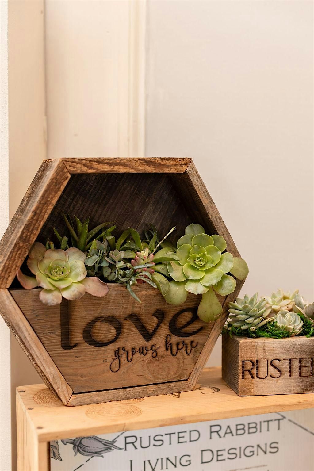 Wooden Succulent Front Door Sign, Back Bay's Farmhouse Brewing Co ...