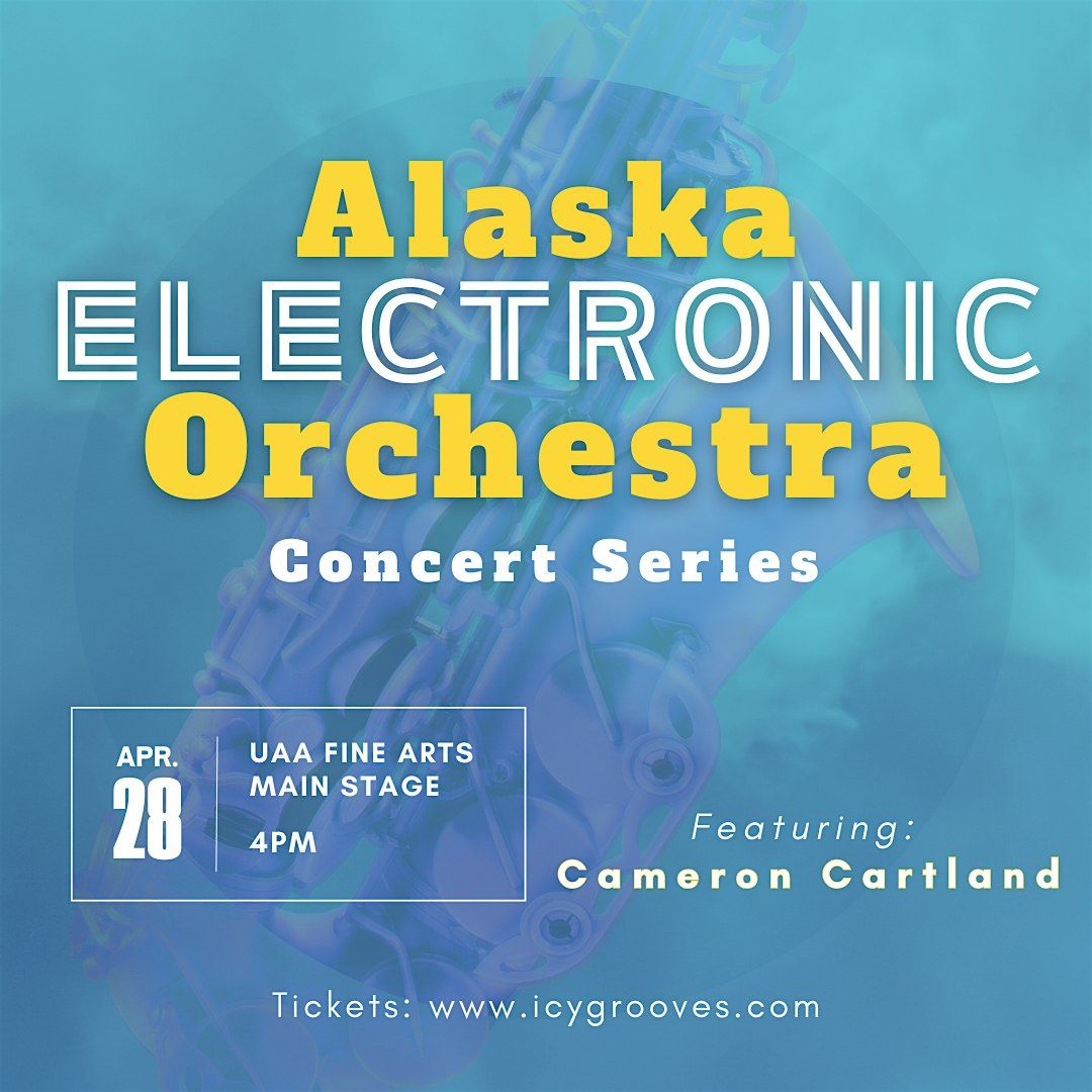 Alaska Electronic Orchestra Concert, Fine Arts Building, Anchorage, 28 ...