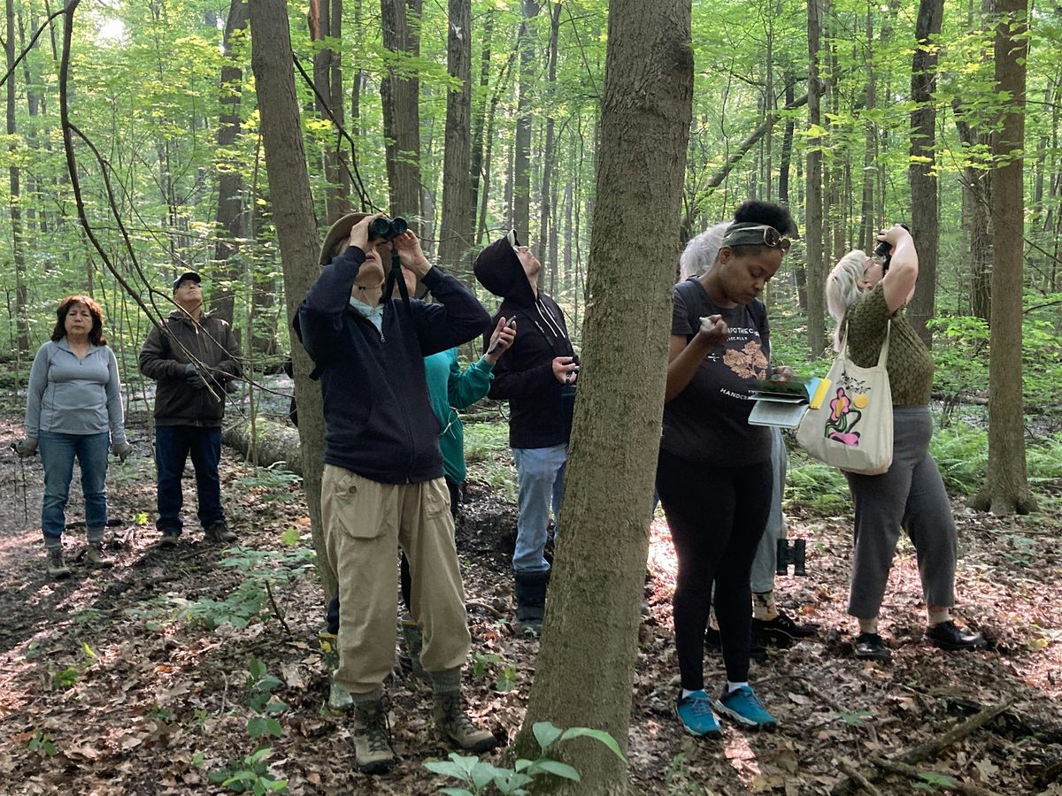 Holliday Nature Preserve- Koppernick Trail Field Trip, Holliday Nature ...