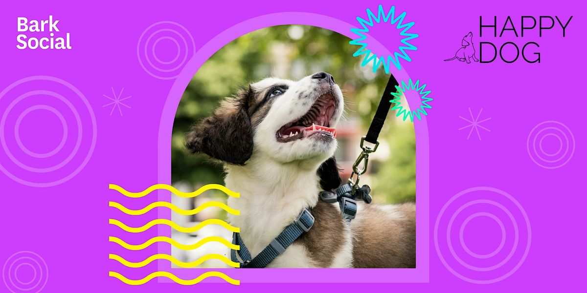 Puppy Socialization with Happy Dog at Bark Social Baltimore!, Bark ...