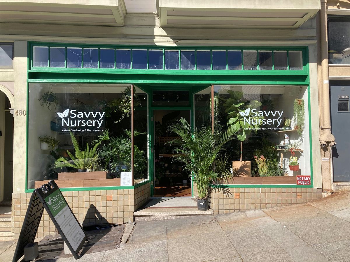 Junior Gardeners: Egg Carton Plants, Savvy Nursery, San Francisco, 24 ...