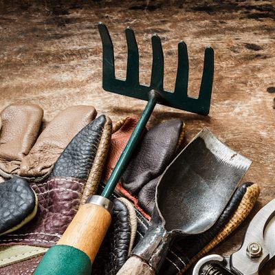 GreenFingers at Turlin Moor Recreation Ground, Turlin Moor Recreation ...