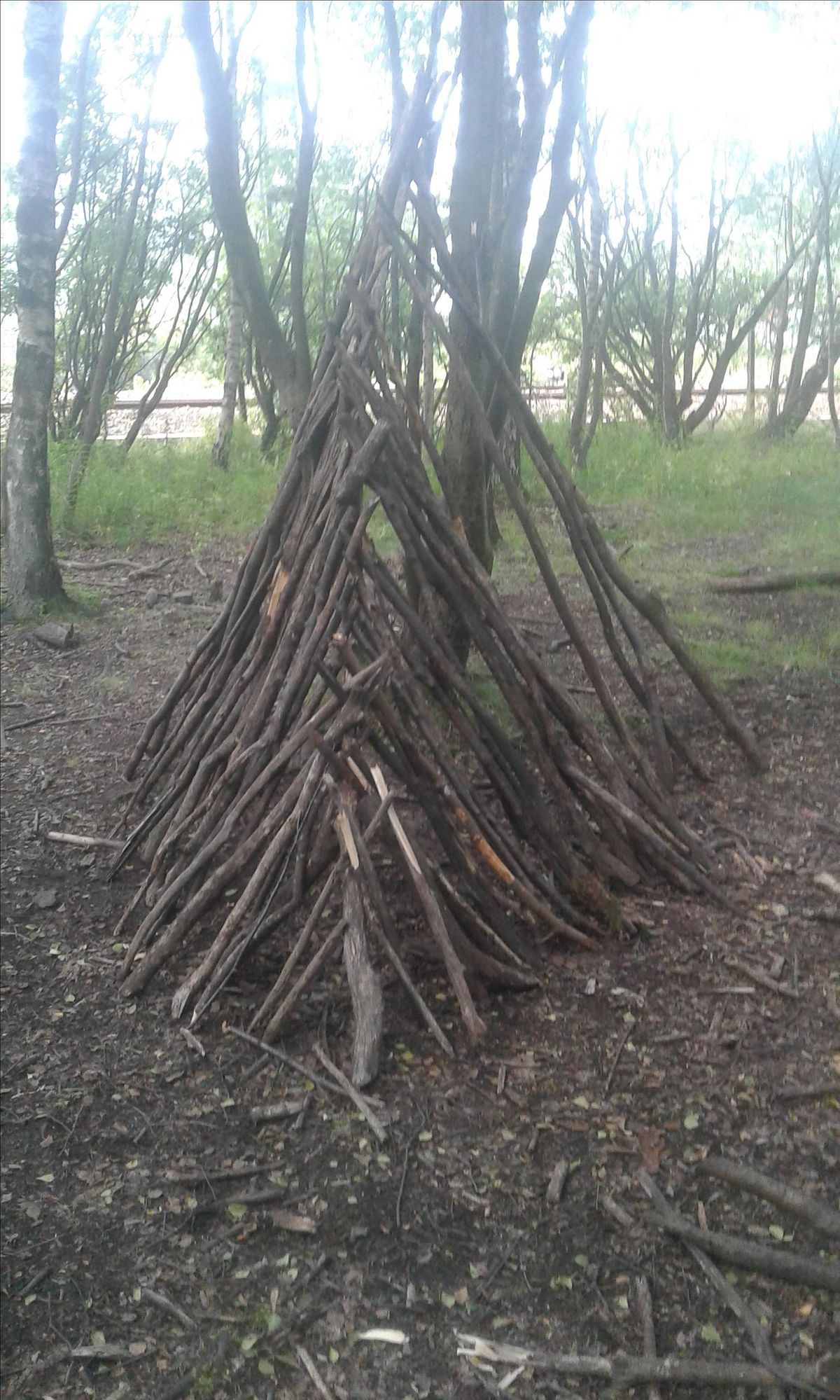 Halloween with Jupiter and TCV, Jupiter Urban Wildlife Centre ...