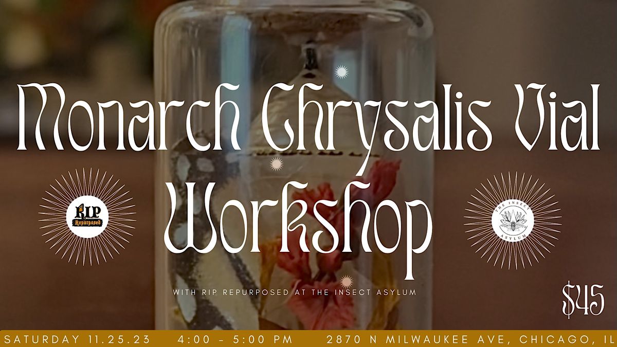 Real Monarch Chrysalis Vial Workshop with RIP Repurposed, The Insect ...