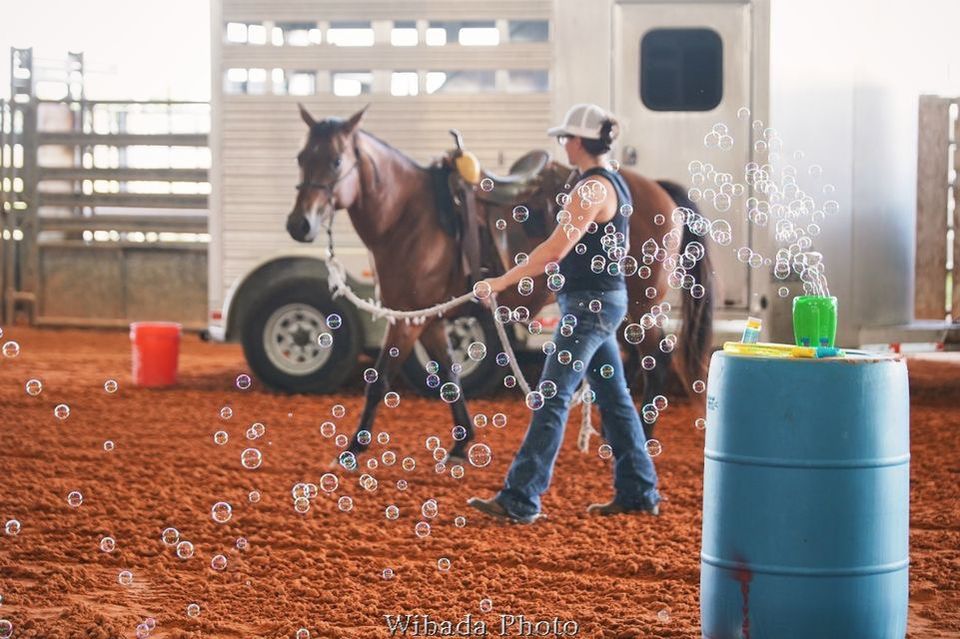 Obstacle practice, Bud Adams Equestrian Center, Fort Pierce, 14 July ...