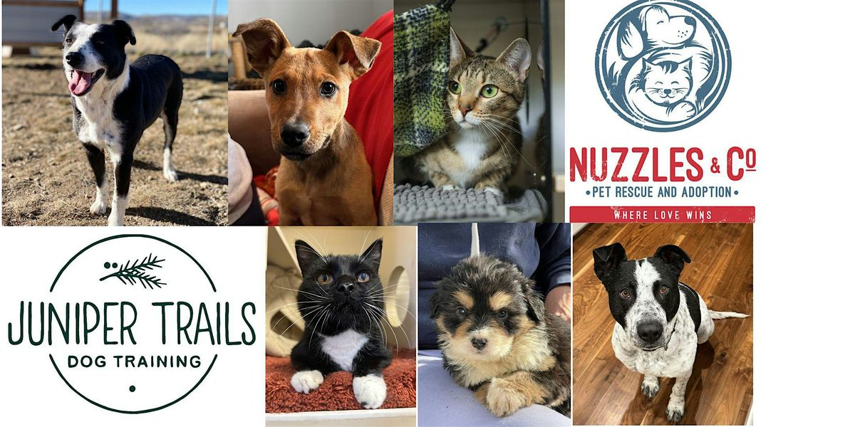 Nuzzles & Co. X Juniper Trails Adoption Event, Maven Create, Salt Lake ...