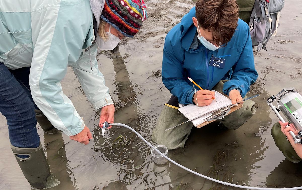 Teaching Ocean Science and Climate Change for grades 3-8, Padilla Bay ...