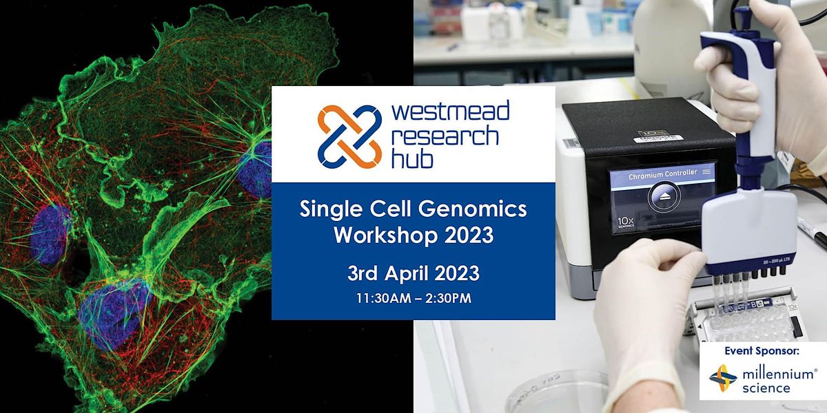 Westmead Research Hub Single Cell Genomics Workshop 2023, Children's ...