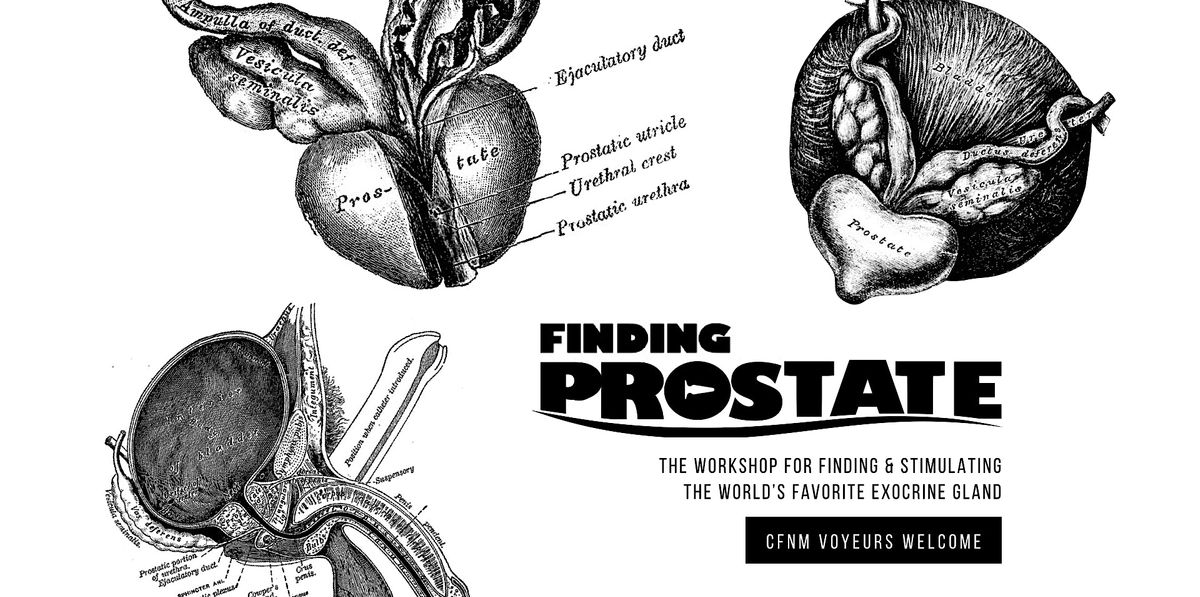 Finding Prostate, The Crown, Brooklyn, 1 November 2023 | AllEvents.in