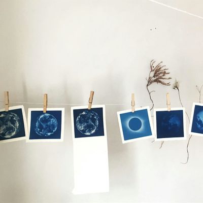 Cyanotype printing with botanical toning, Kings Road Studios, Hastings ...