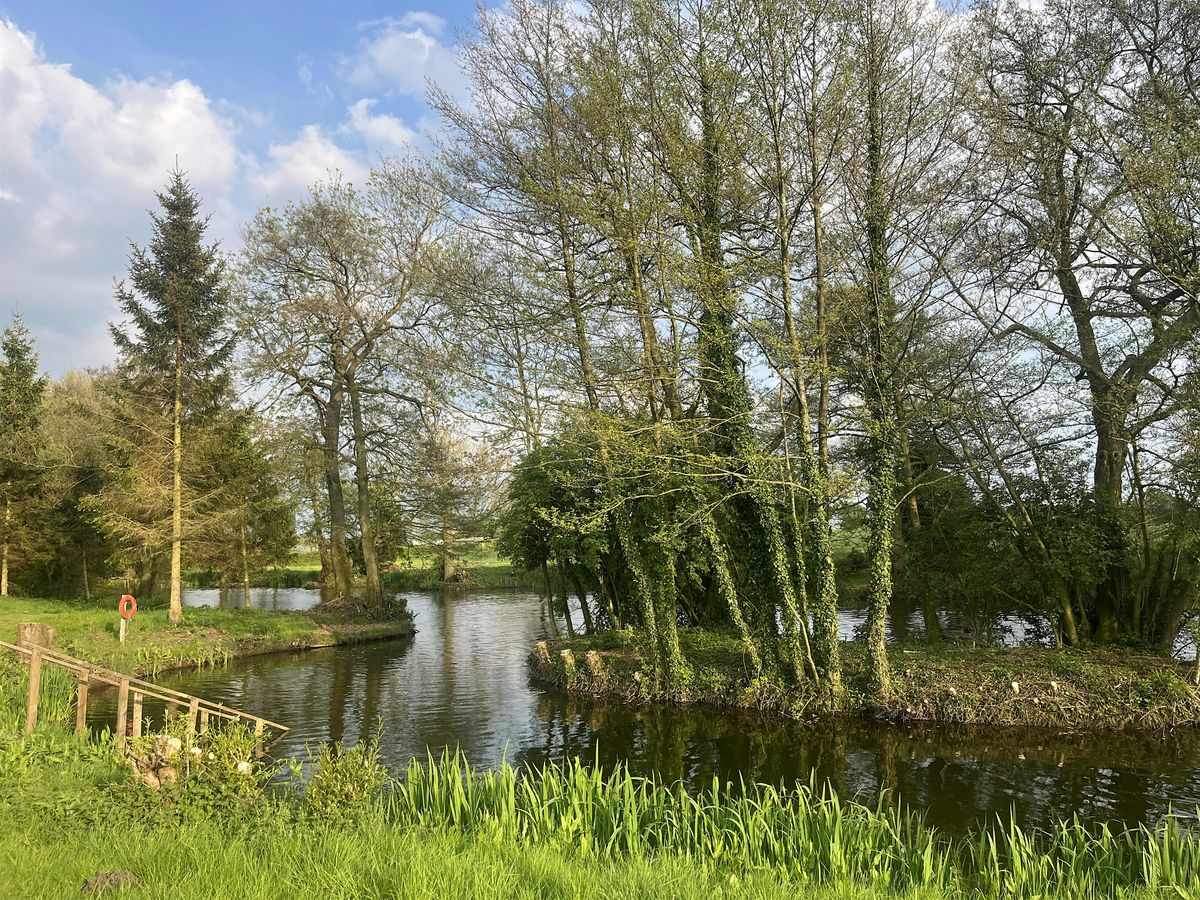 Chaloner Pond Lakeside Workshop & Wild Swim, Chaloner Pond, York, 30 ...