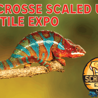 La Crosse Scaled Up Reptile Expo 10-19-2024, La Crosse Center, 19 ...