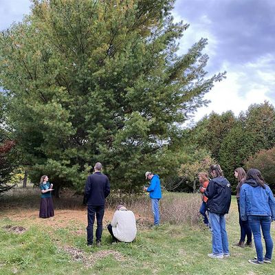 Medicinal Plant Walk: Local Trees - Experiential (includes tea ...