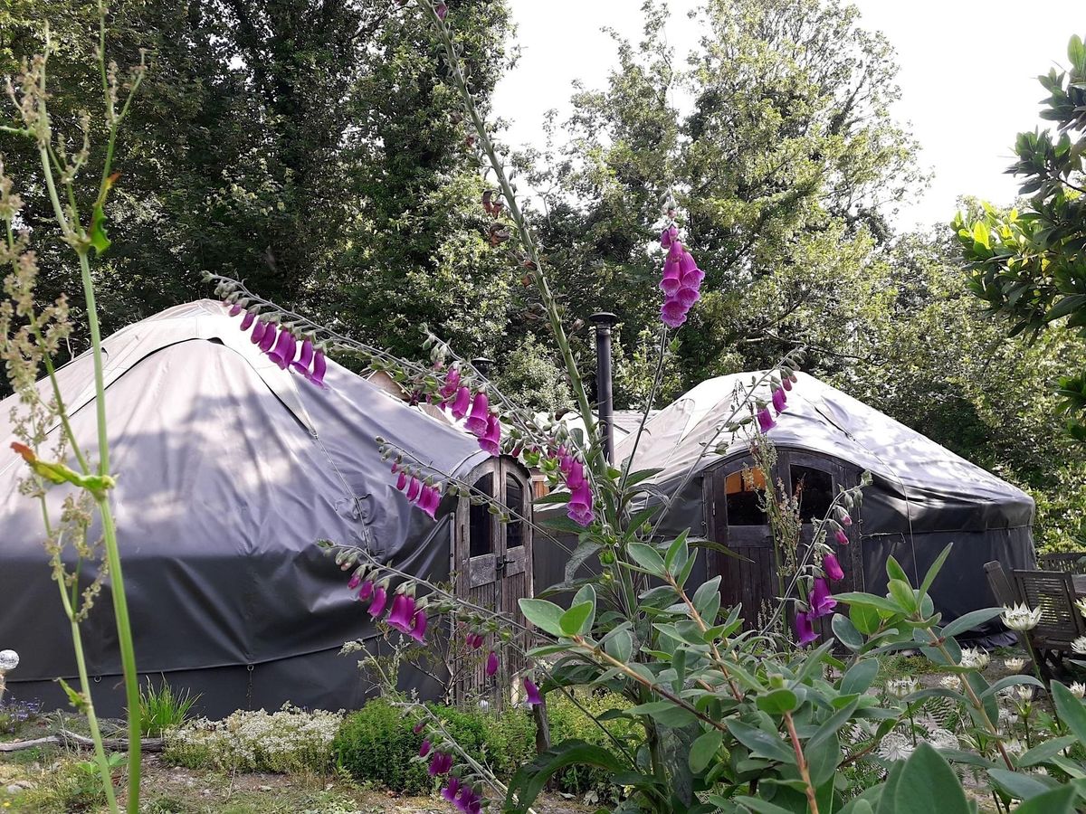 A Personal Tour of Off-Grid Life at Deer Wood, The Deer Wood Trust ...