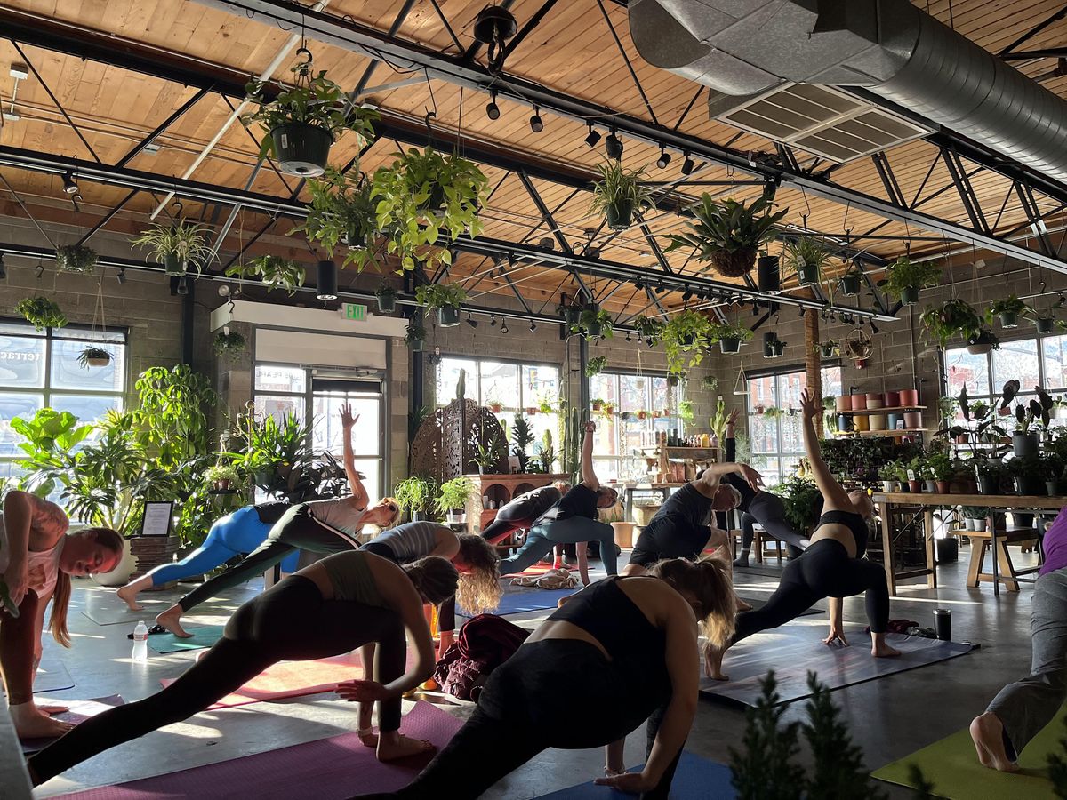Saturday Morning Yoga with Elise Edson, Terracotta, Boulder, 13 May ...