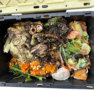 Bronx Food Scraps Drop-Off (Pelham Parkway), Brady Playground, The ...
