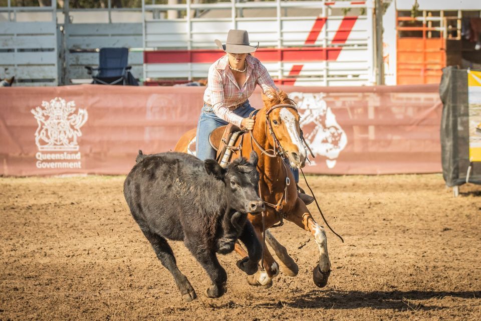 Introduction to Campdrafting Clinic, Hindle Horsemanship, Highfields ...