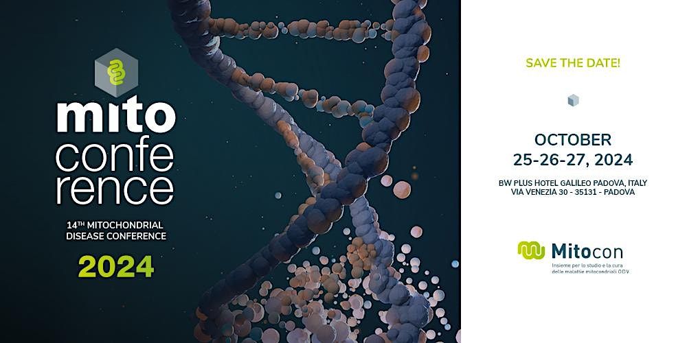 MITO CONFERENCE 2024 - Students and Trainee, Best Western Plus Hotel ...