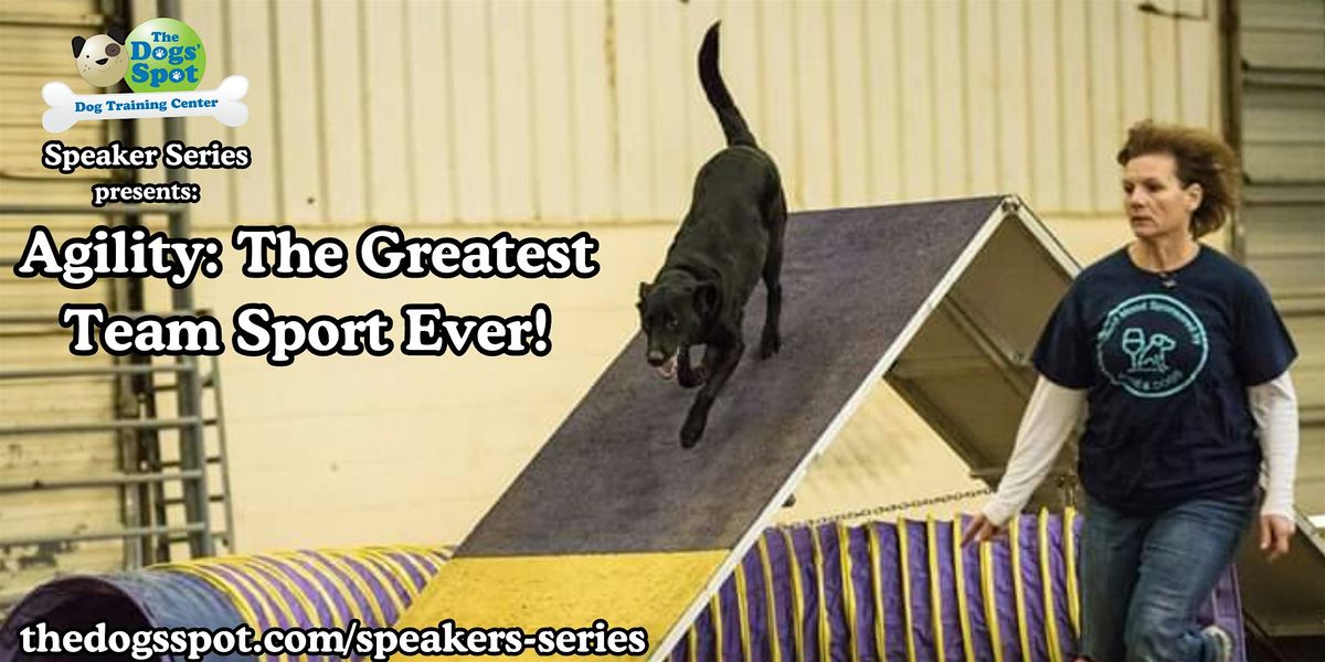 Agility: The Greatest Team Sport Ever!, The Dogs' Spot - Dog Training ...