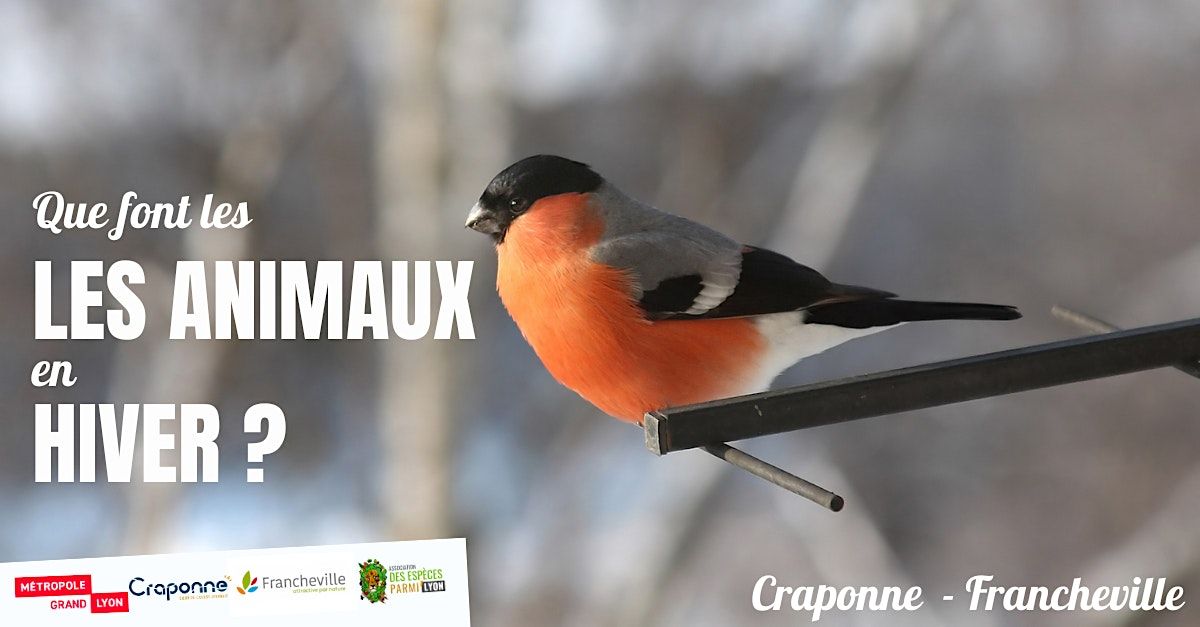 Que font les animaux en hiver ?, Fort du Bruissin, Francheville, 28 ...