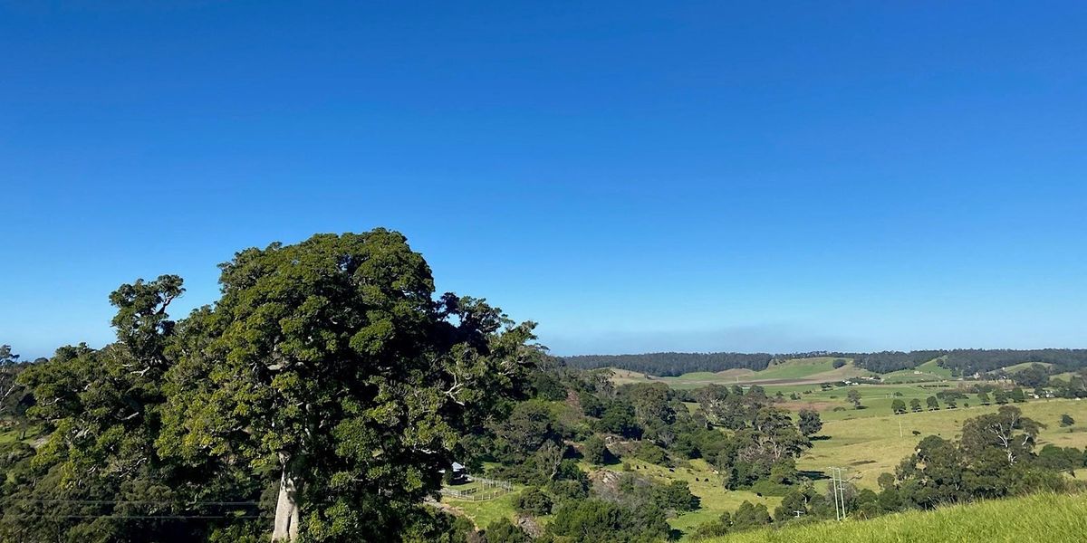 Tilba District Oral history film and discussion - Narooma Library ...