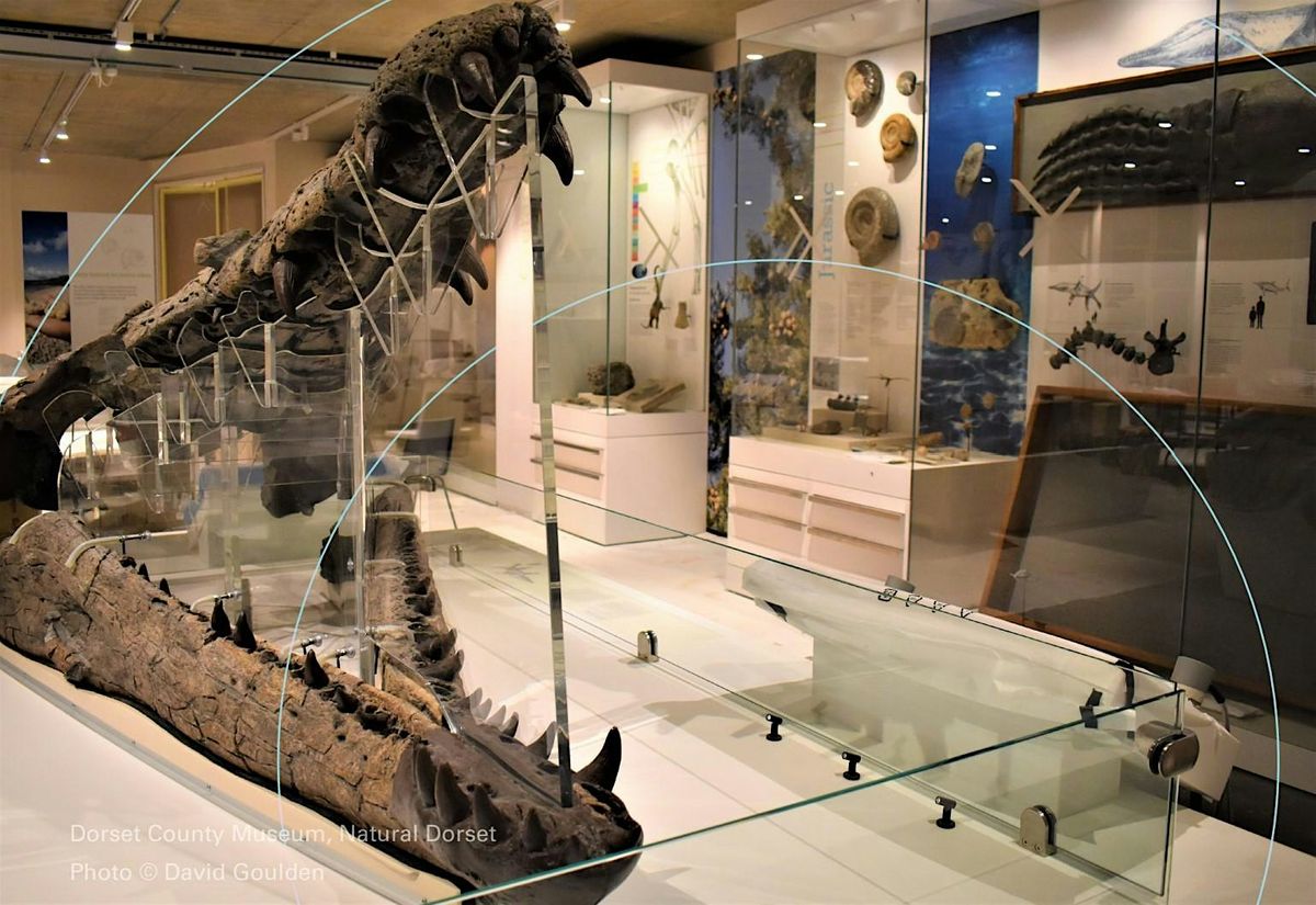 Arts Council National Lottery Project Grants Museums Roadshow: North ...