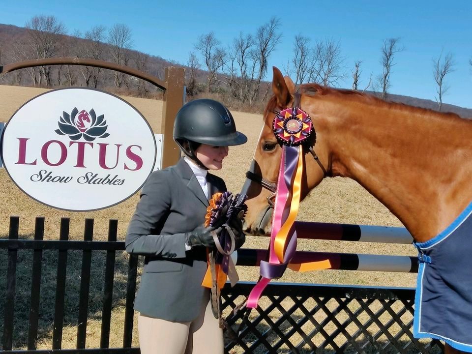 Lotus Winter Series V Horse Show, 411 W Mill Road, Long Valley, NJ ...